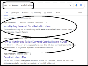 Keyword Cannibalization: How to Identify and Fix It [4 Ways]